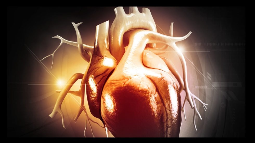Online Continuing Education Courses – Cardiovascular Nursing Education ...